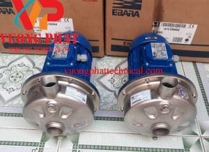 Bơm trục ngang 1 tầng cánh Ebara - VƯƠNG PHÁT PUMP